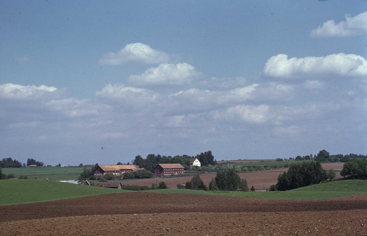 Hverven gård, Stange, Hedmark. - Norsk Folkemuseum / DigitaltMuseum