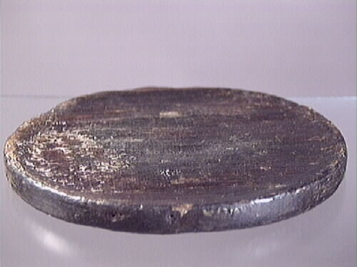 Disk - Vasamuseet / DigitaltMuseum