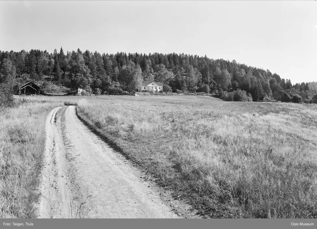 Tangen gård sett fra Hauketo. - Oslo Museum / DigitaltMuseum