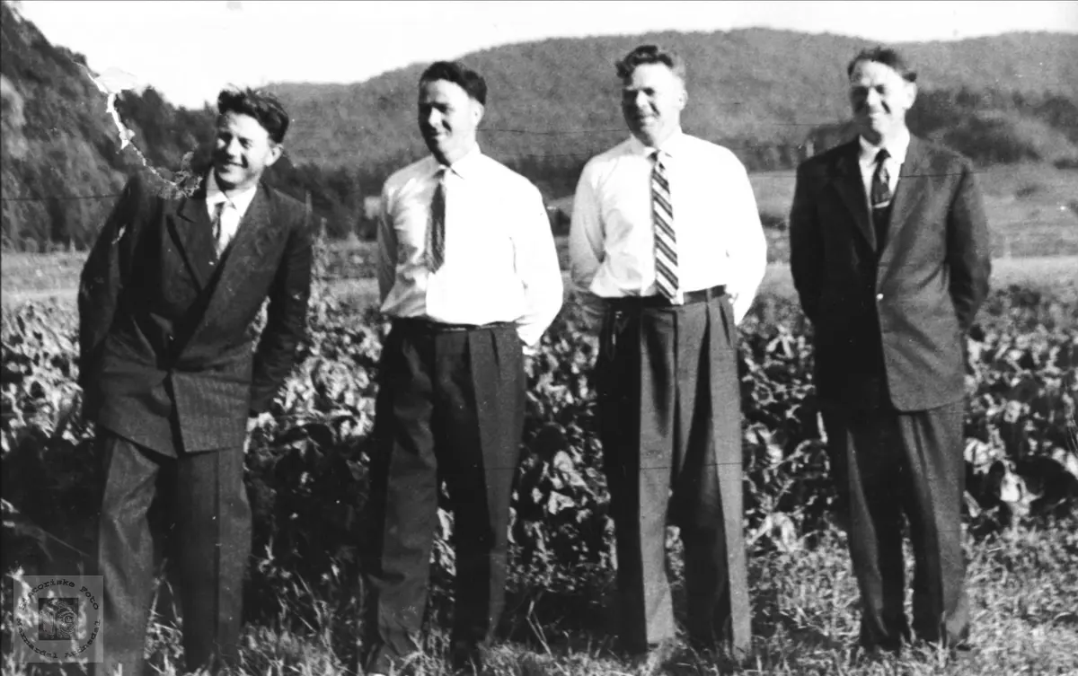 Brødrene Simon, Anders, Bjørn og Trygve Usland - Historiske Foto ...