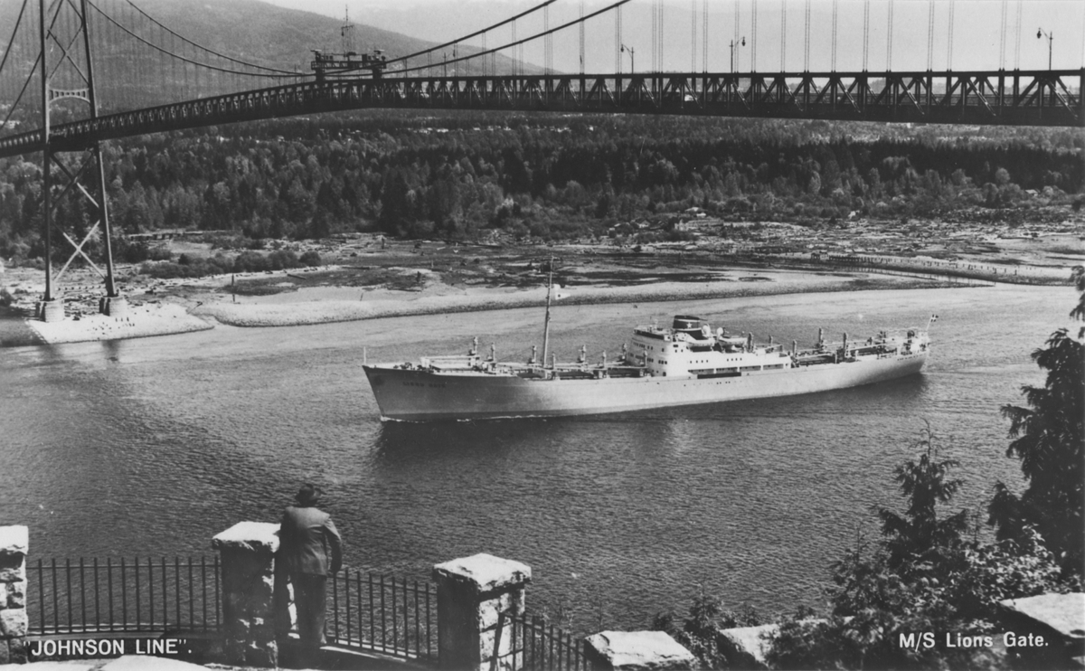 "JOHNSON LINE". M/S Lions Gate. - Sjöhistoriska museet / DigitaltMuseum