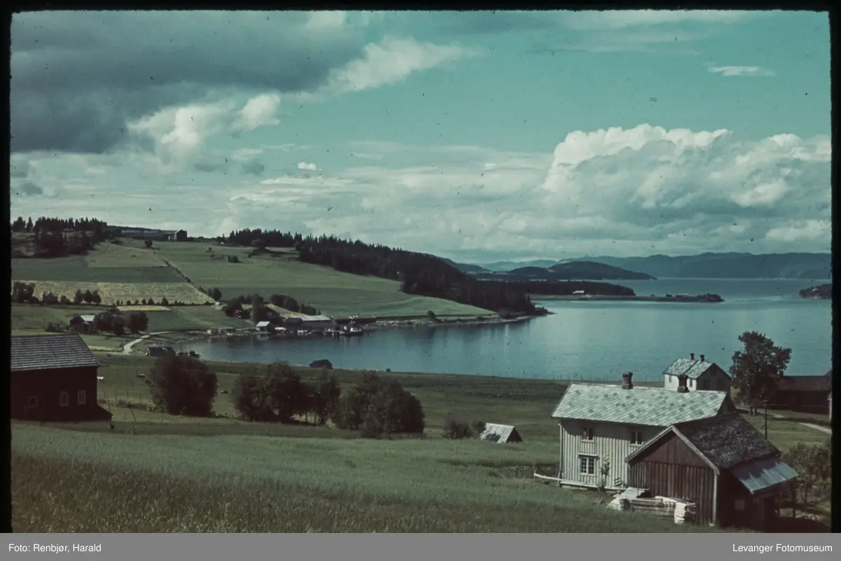 Skogn med utsikt mot Holsand og Trondheimsfjorden - Levanger Fotomuseum ...