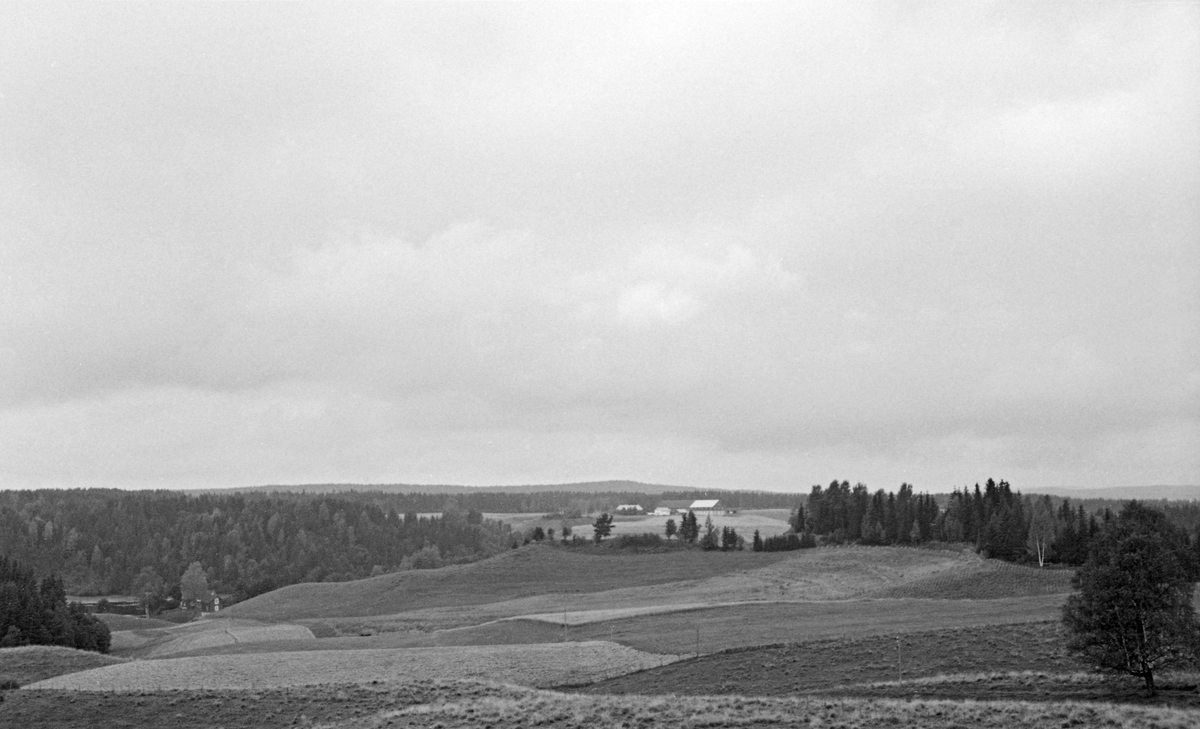Landskapsbilde ved Vorma, Nes, Akershus. Åker og eng, skog, gårder ...