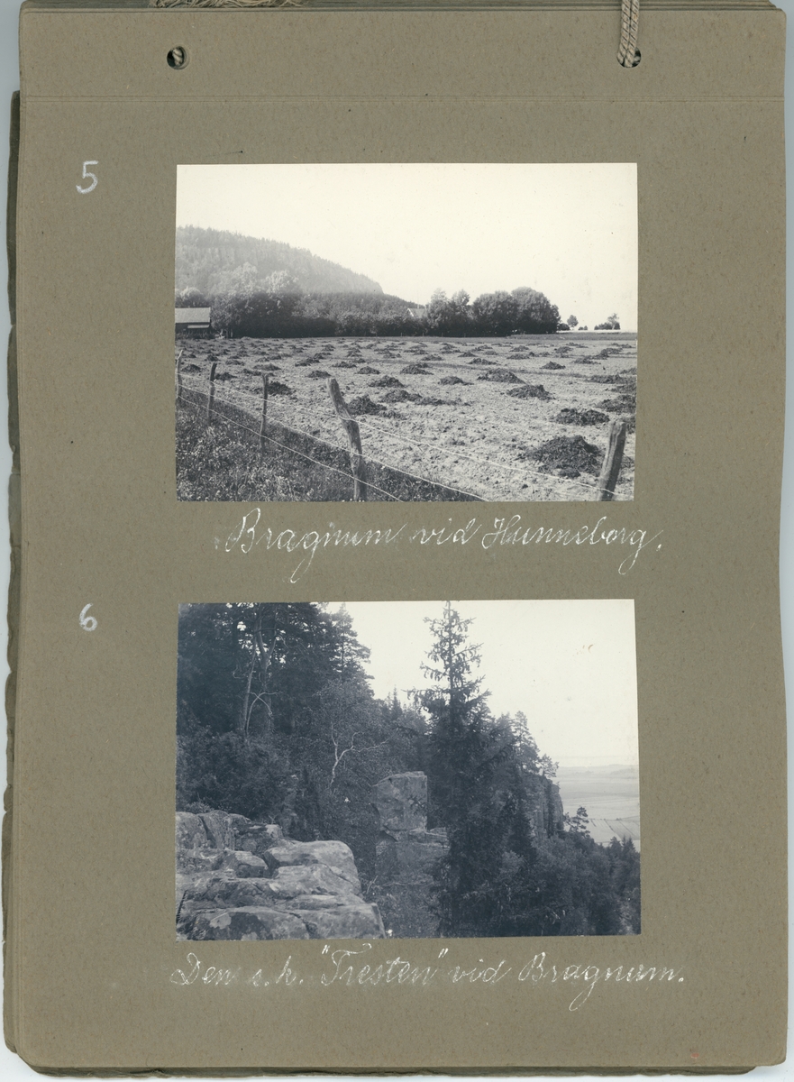 Fotoalbum. "Fröken Anna Ledin, en erinran om sommaren 1911 ...