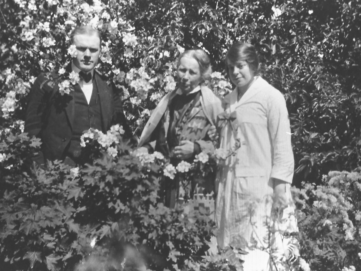 Hjalmar og Maria Bull, Helen Hvoslef. - Anno Musea i Nord-Østerdalen ...