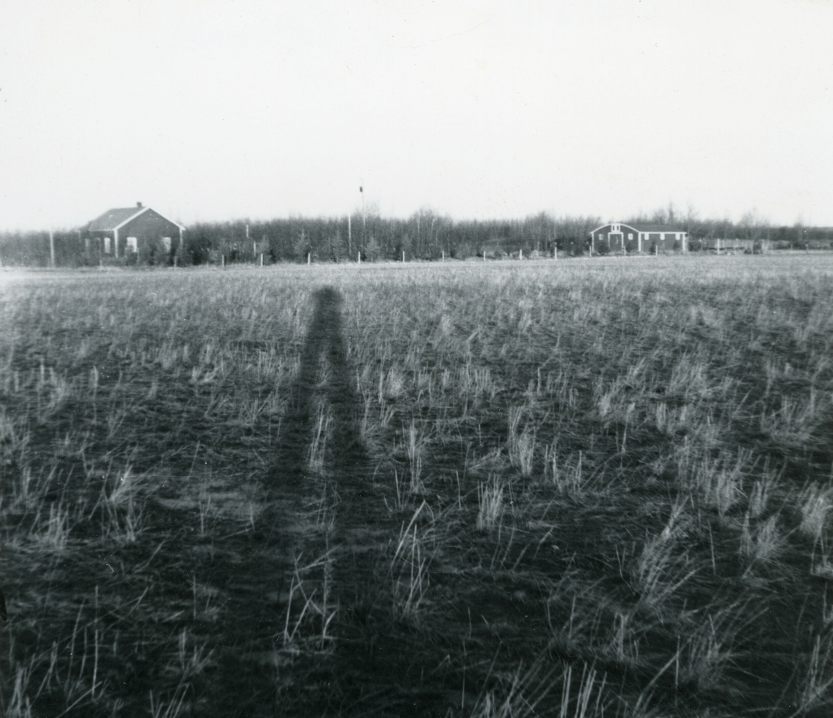 Ein amerikansk farm, tilhøyrer Halvor Hegna. - Midt-Telemark museum ...