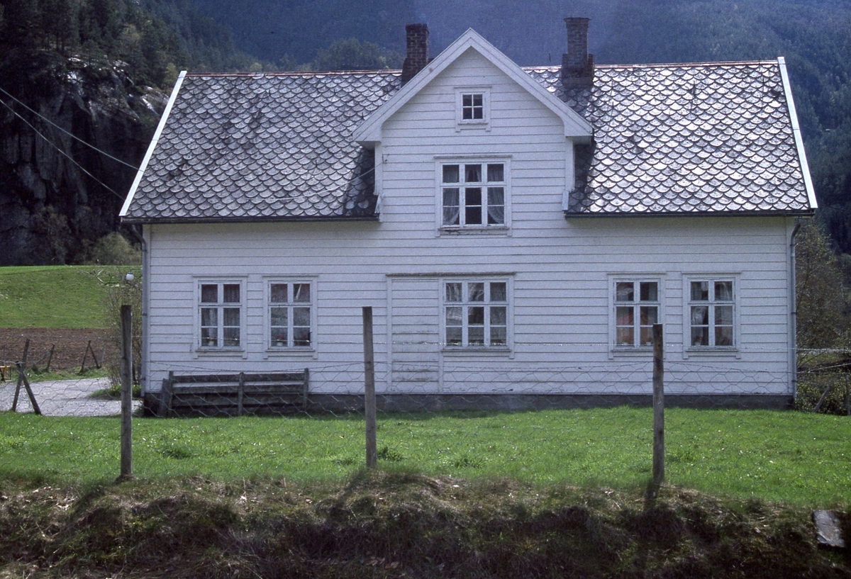hus, glas, gjerde, tre, fjell - Ryfylkemuseet / DigitaltMuseum