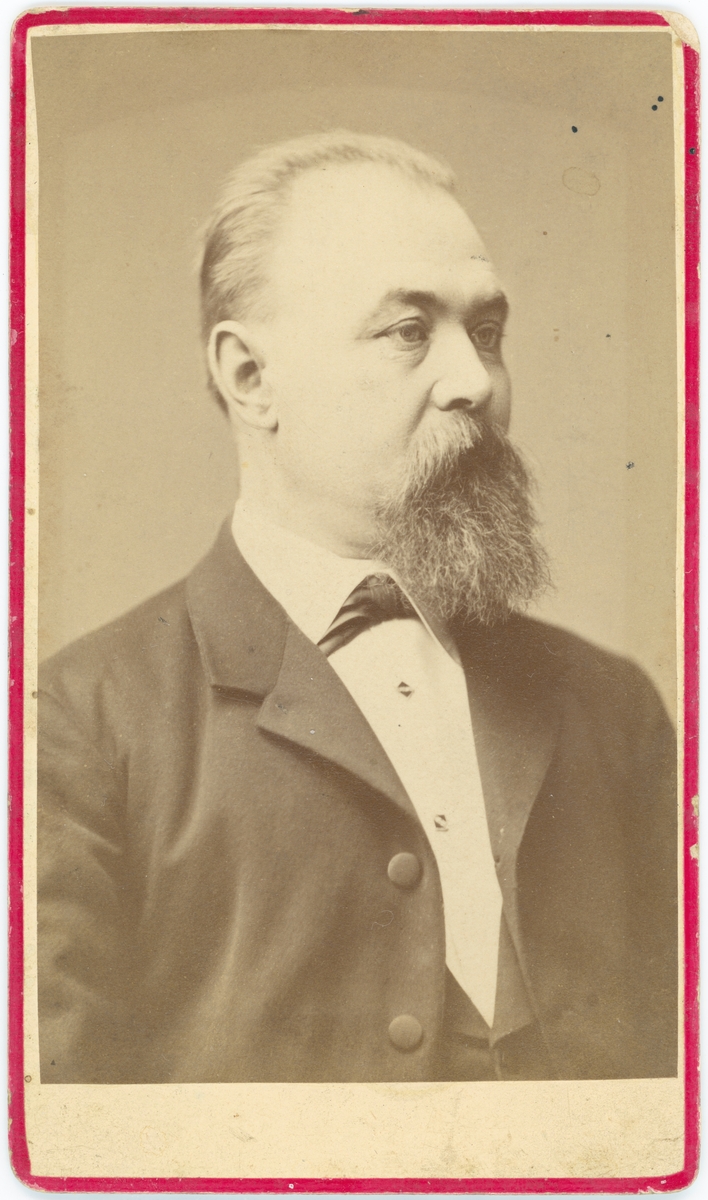 Porträtt - Vänersborgs museum / DigitaltMuseum