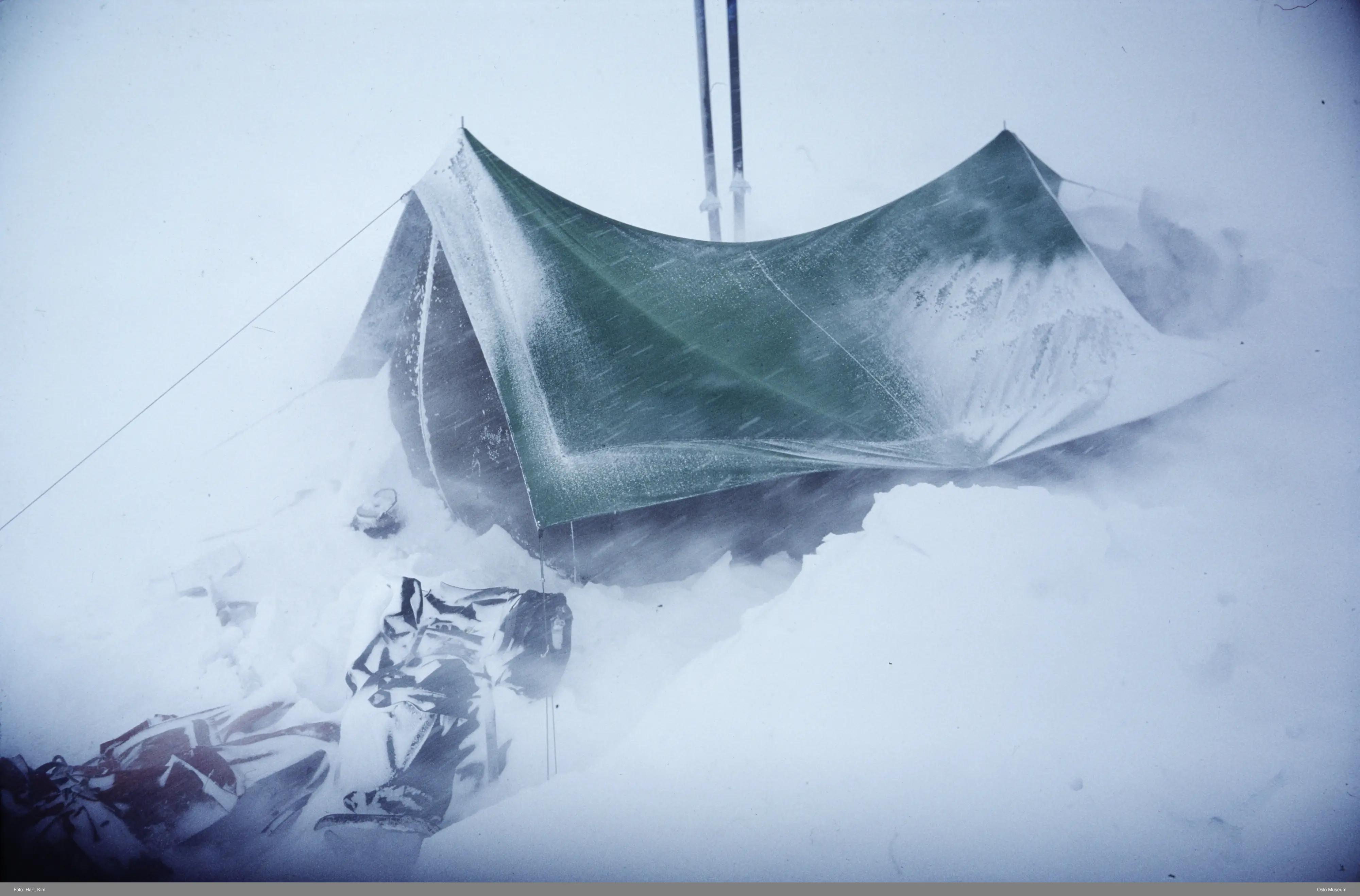Gresshoppas telt "Mogop" ved Jostedalsbreen. - Oslo Museum / DigitaltMuseum