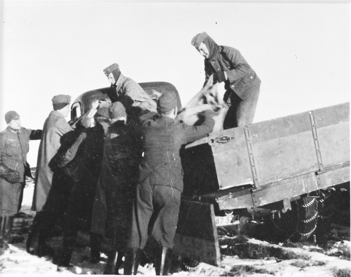 Tyske soldater losser fra lastebil - Museet kystens arv / DigitaltMuseum