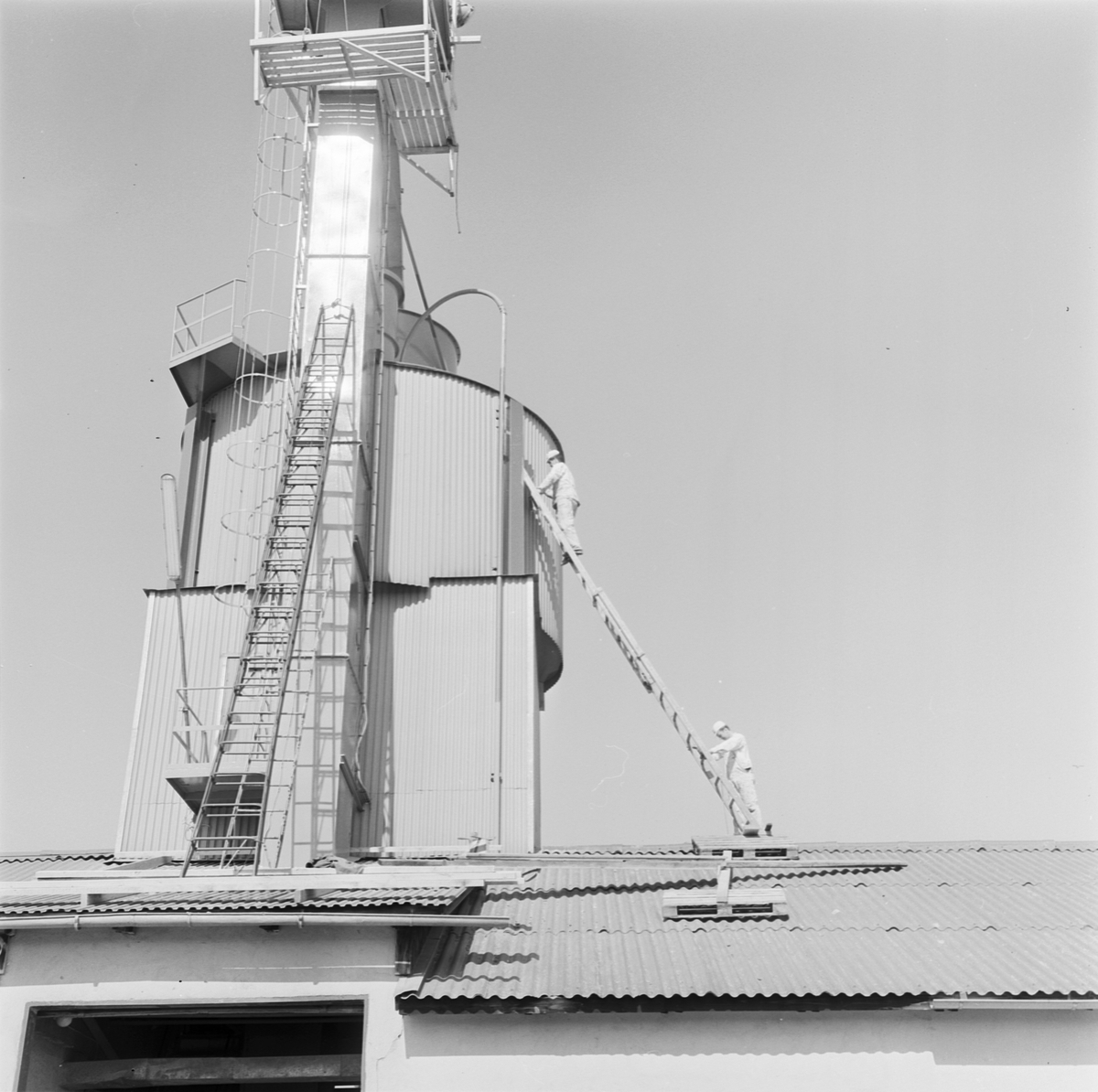 Tierps Cementvarufabrik, Uppland 1969 - Upplandsmuseet / DigitaltMuseum