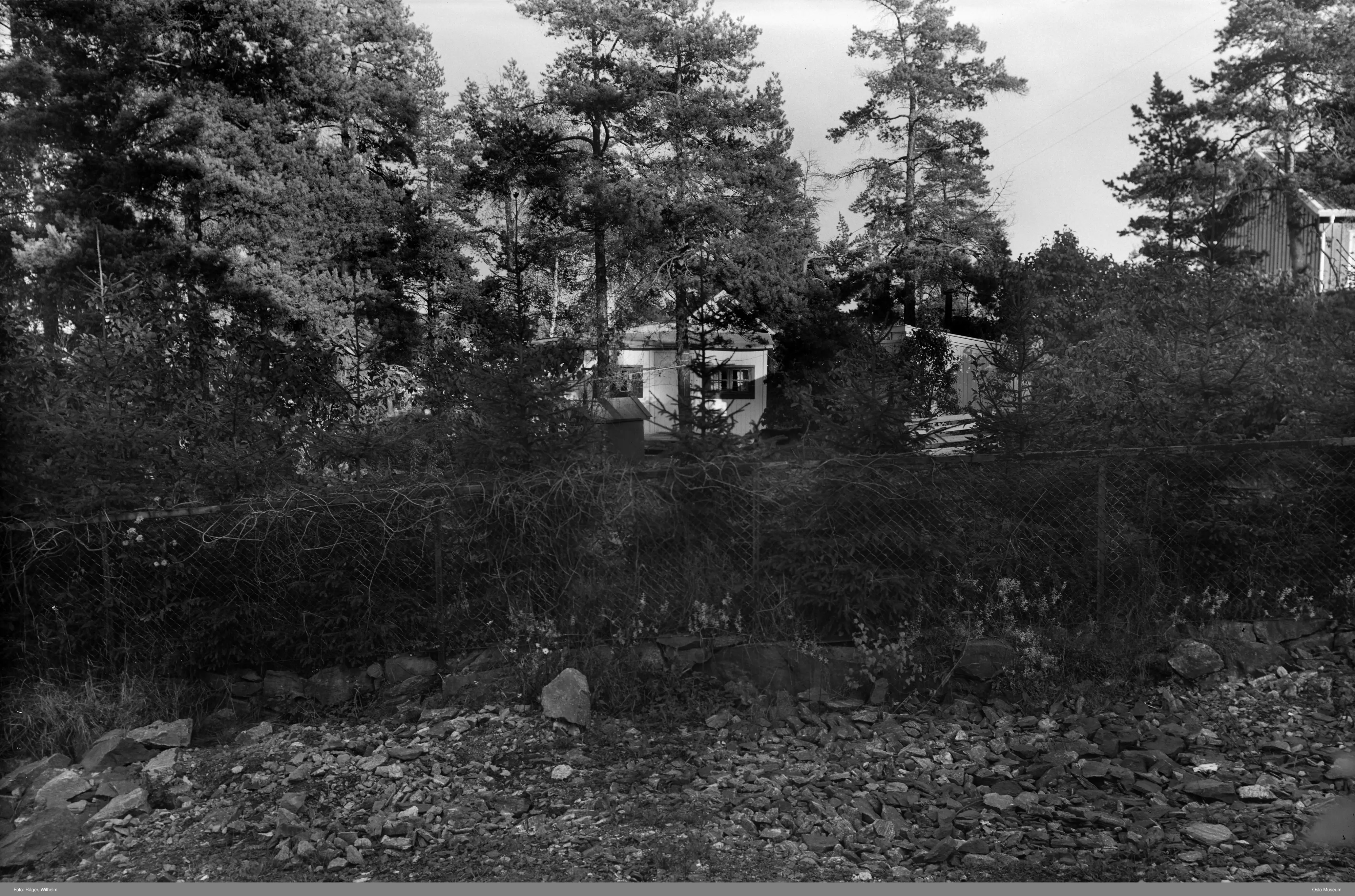 hytte, skog, nettinggjerde - Oslo Museum / DigitaltMuseum