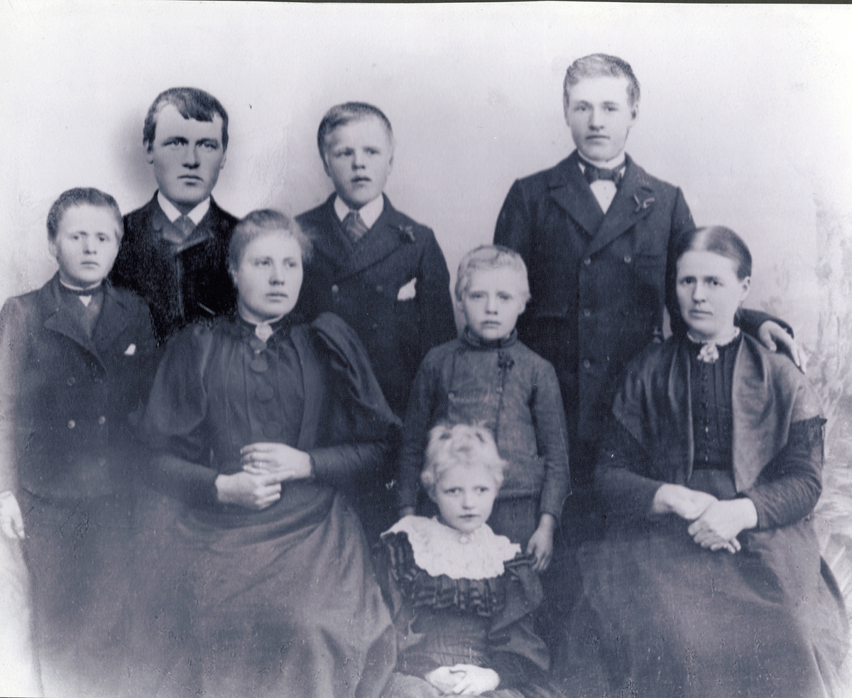 Familien Hodne - Valdres Folkemuseum / DigitaltMuseum