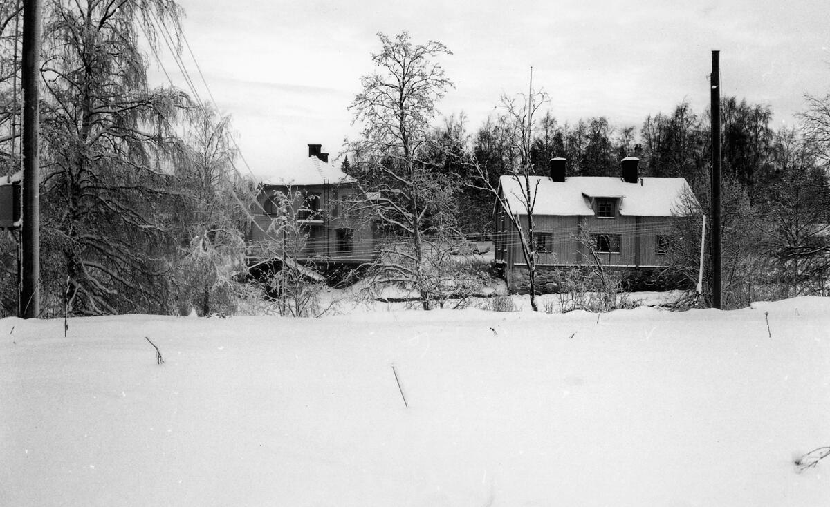 Vinterbild - Västernorrlands museum / DigitaltMuseum