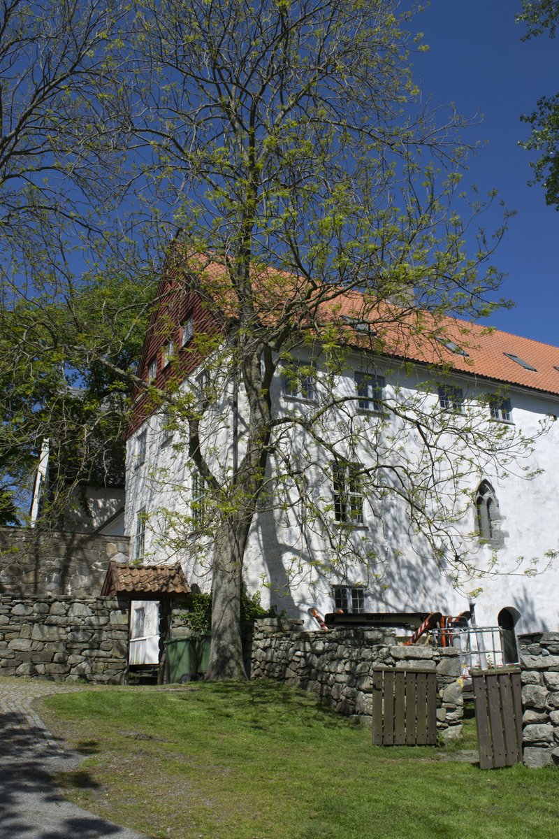 Trær rundt Utstein Kloster. - Arkeologisk museum, Universitetet i ...