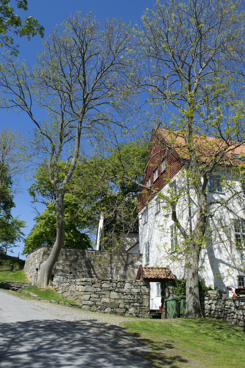 Trær rundt Utstein Kloster. - Arkeologisk museum, Universitetet i ...