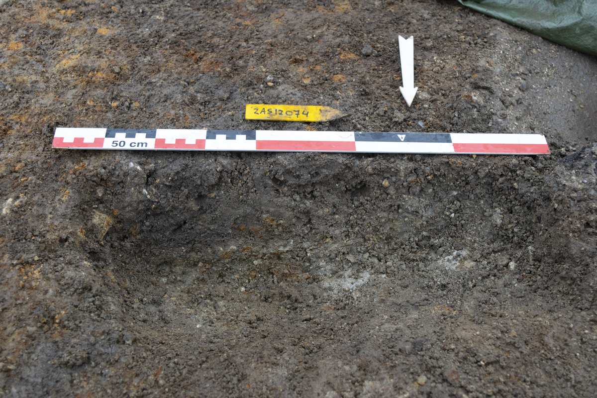 Rogfast II. Steinalderboplasser og hus fra yngre bronsealder ...