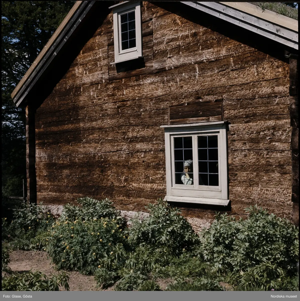 Stenbroholm Linnè. En kvinna skymtar i ett fönster. - Nordiska museet ...