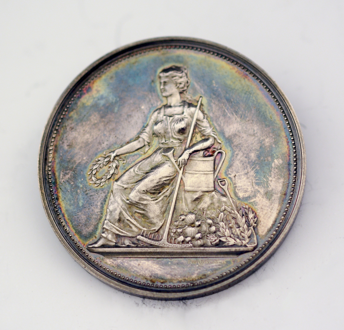 Medalje - Telemark Museum / DigitaltMuseum