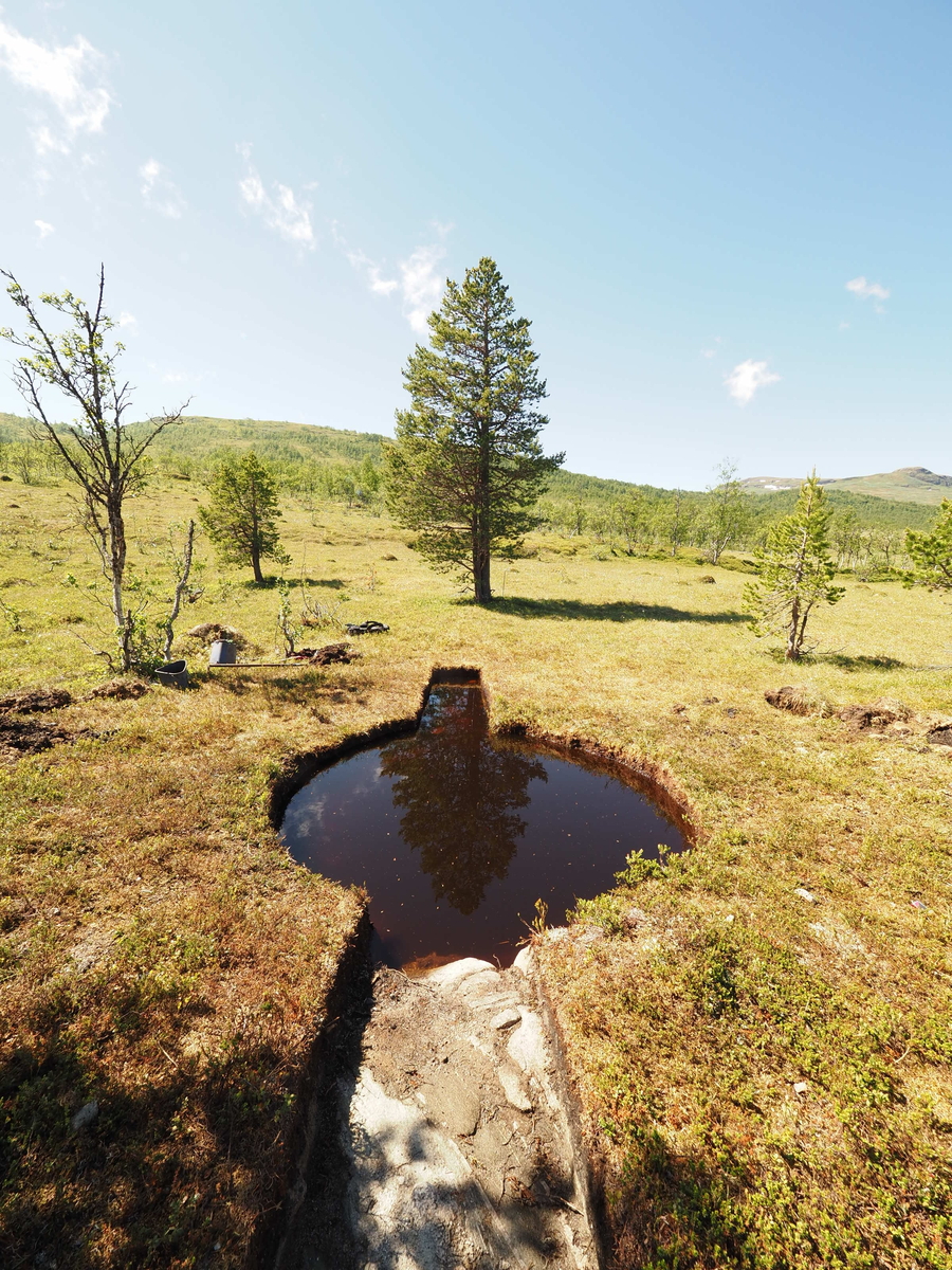 Arkeologisk utgraving av kullgroper i Fetalia, Eidfjord ...