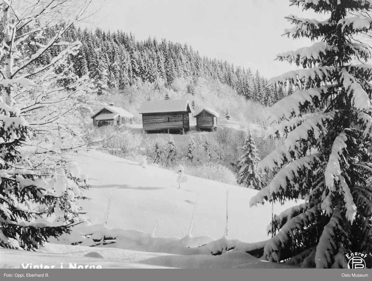 Vinter i Norge. - Oslo Museum / DigitaltMuseum