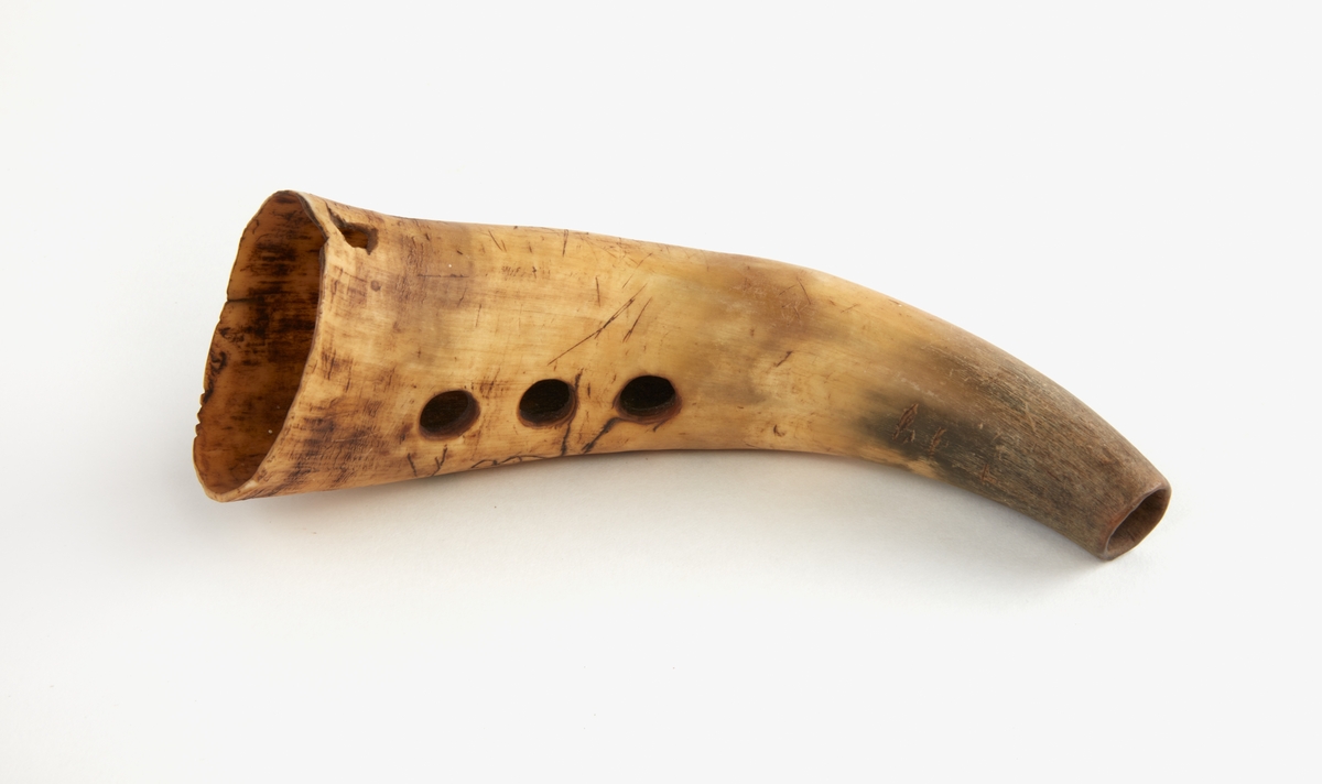 Vallhorn - Dalarnas museum / DigitaltMuseum