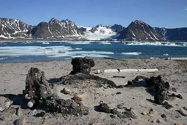 Hvalfangst - Svalbard Museum