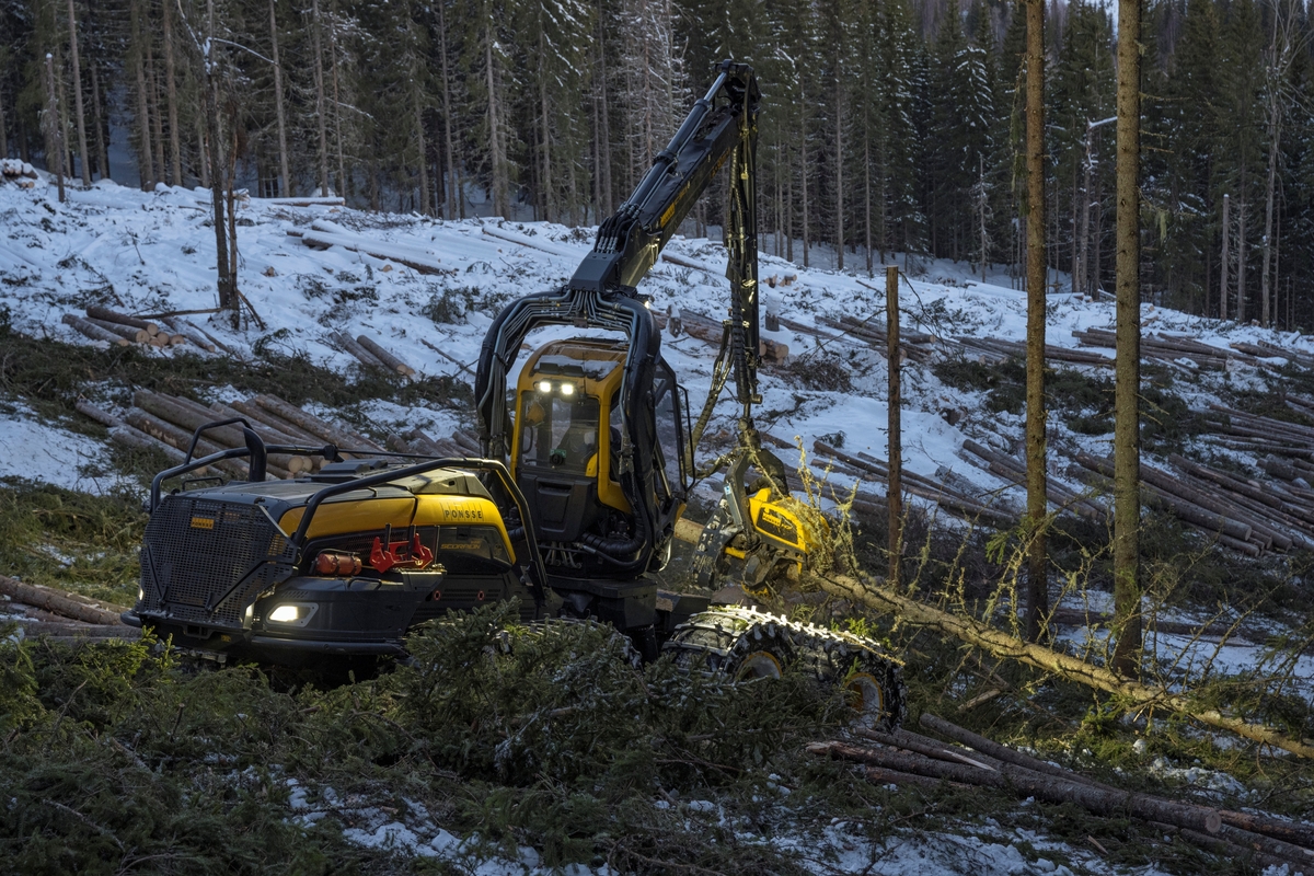 Skogsdrift. Bildet er tatt litt vest for Fallsyringsbakken i Åstdalen ...