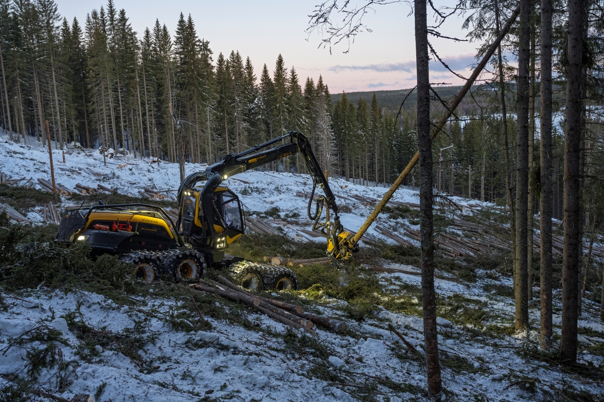 Skogsdrift. Bildet er tatt litt vest for Fallsyringsbakken i Åstdalen ...