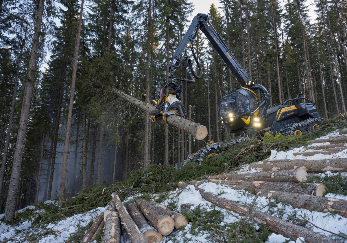 Skogsdrift. Bildet er tatt litt vest for Fallsyringsbakken i Åstdalen ...