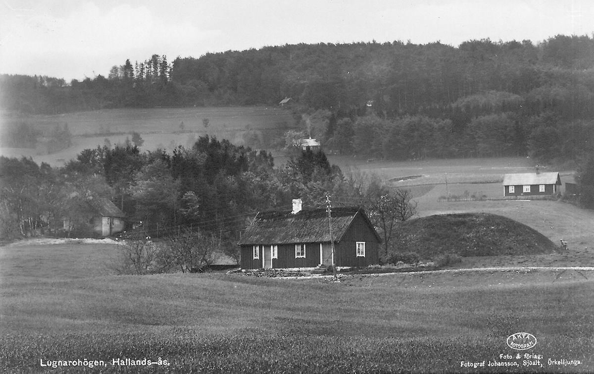 Vykort, " Lugnarohögen, Hallands-ås" Gravhögen med omgivande lantgårdar ...