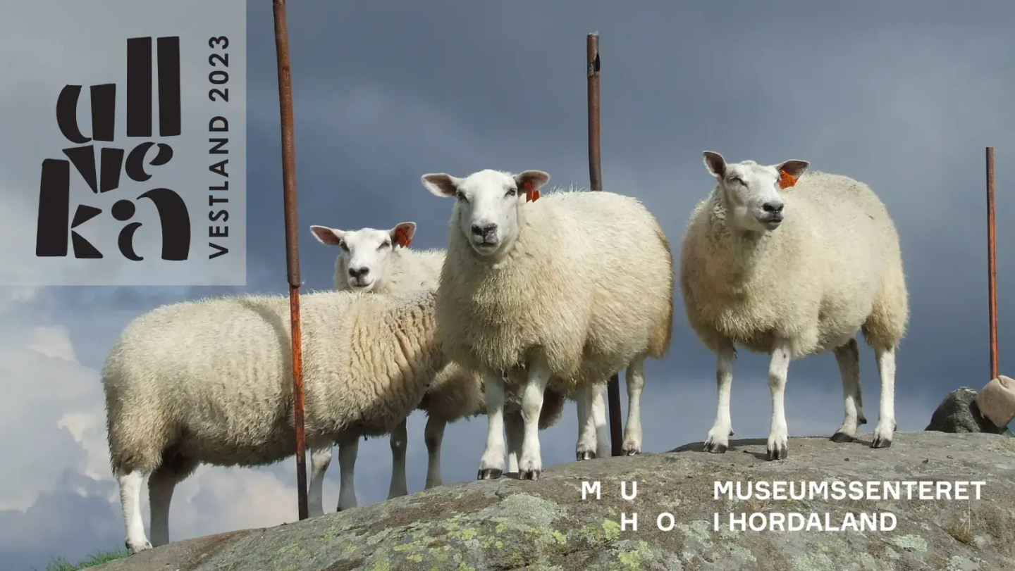 Alle musea i MUHO er med i Ullveka! - Museumssenteret i Hordaland