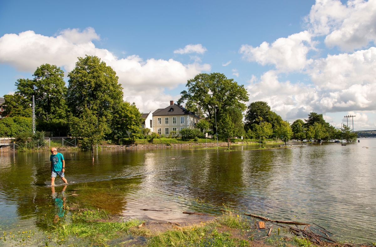 Flom i Mjøsa sommeren 2023. Mjøsflom. Flom 2023. Hamar sentrum ...