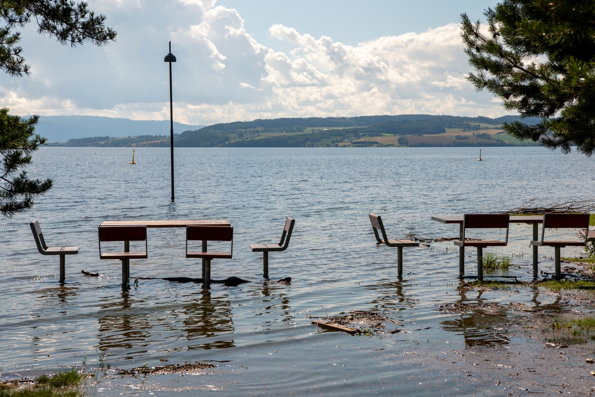 Flom i Mjøsa sommeren 2023. Mjøsflom. Flom 2023. Hamar sentrum ...