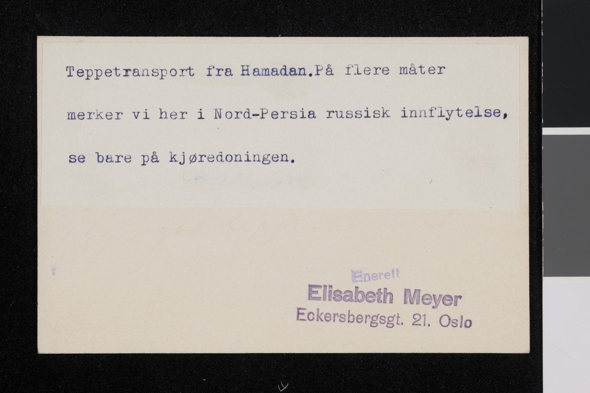 Teppetransport fra Hamadan. Karavan av hester med vogner. Russiske ...