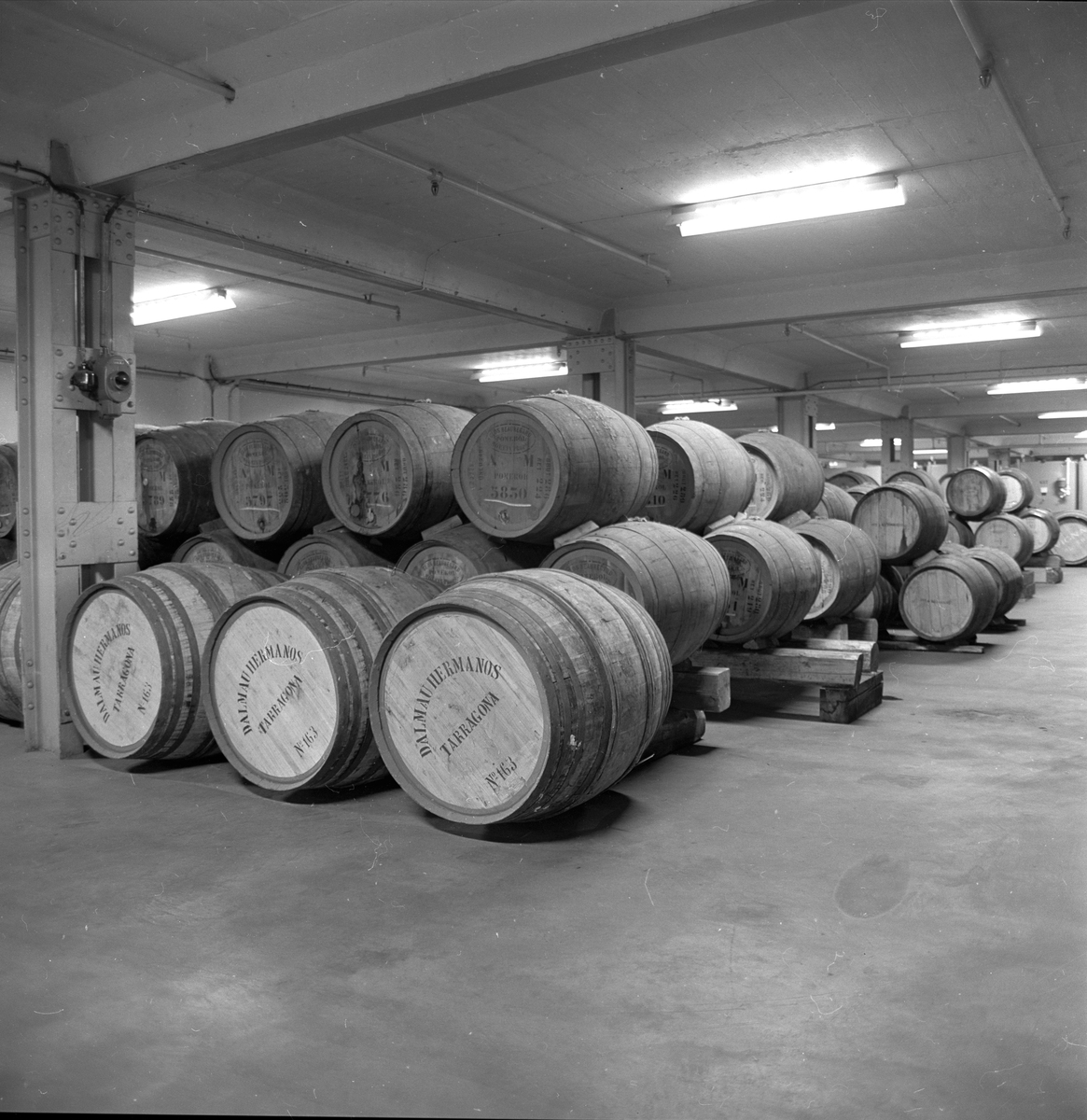 Hasle, Oslo, desember 1963. Vinmonopolet. Hall med tønner. - Norsk ...