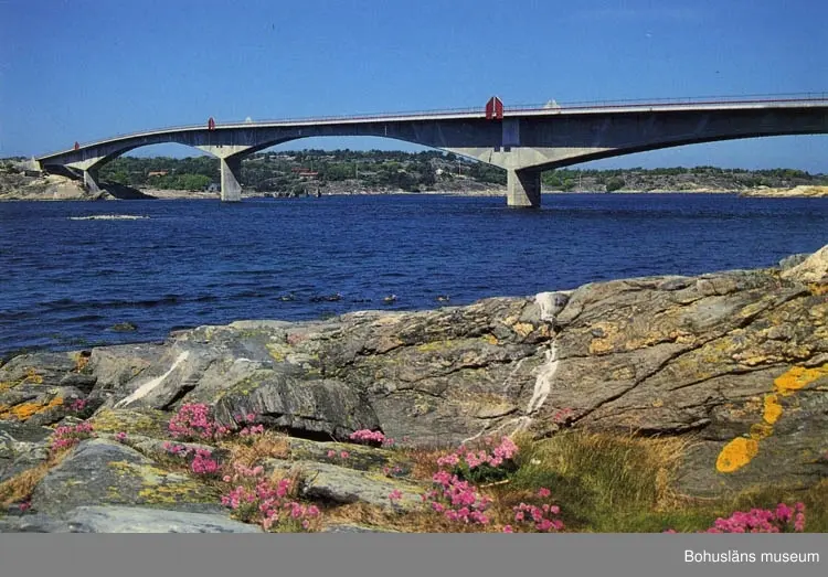 "Den nya Instöbron (invingd 17 maj 1991). Blommorna i förgrunden är ...