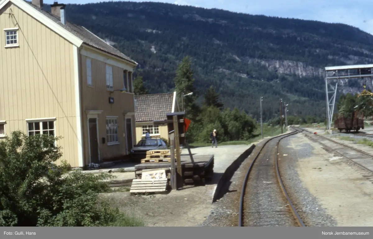 Rollag holdeplass, sett fra ankommende motorvogntog - Norsk ...