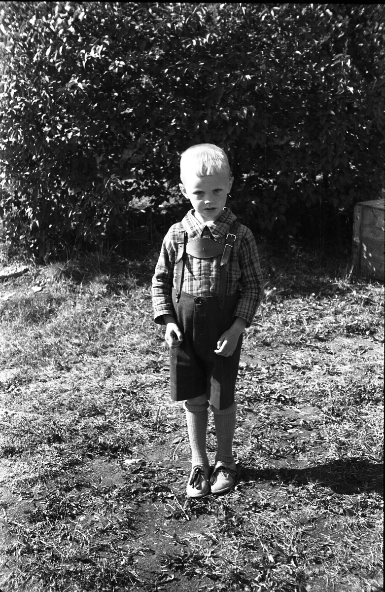 Helfigurs portrett av en uidentifisert mann og en guttunge. Tre bilder ...