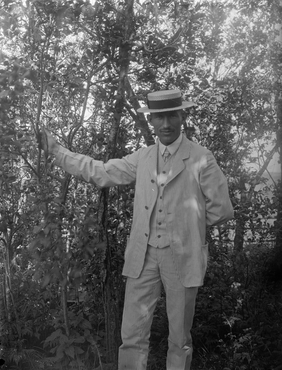 John Alinder i trädgården, Sävasta, Altuna socken, Uppland ...