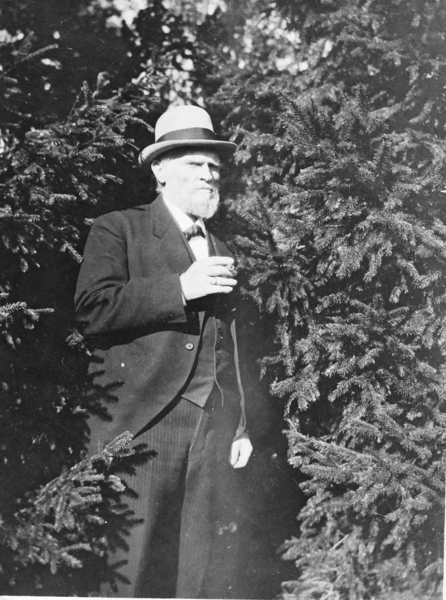 Jacob Breda Bull - Anno Musea i Nord-Østerdalen / DigitaltMuseum