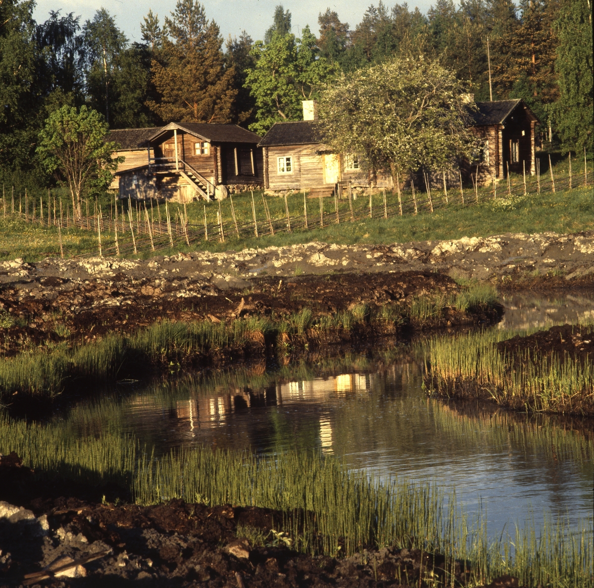 "Acktjäratorpet", Sävs soldattorp med anor från 1600-talet, Acktjära by ...