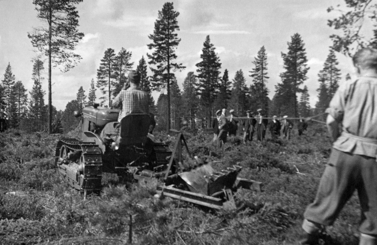 «Flere bilder fra Ringsaker almenning. 1950. Befaring for ...