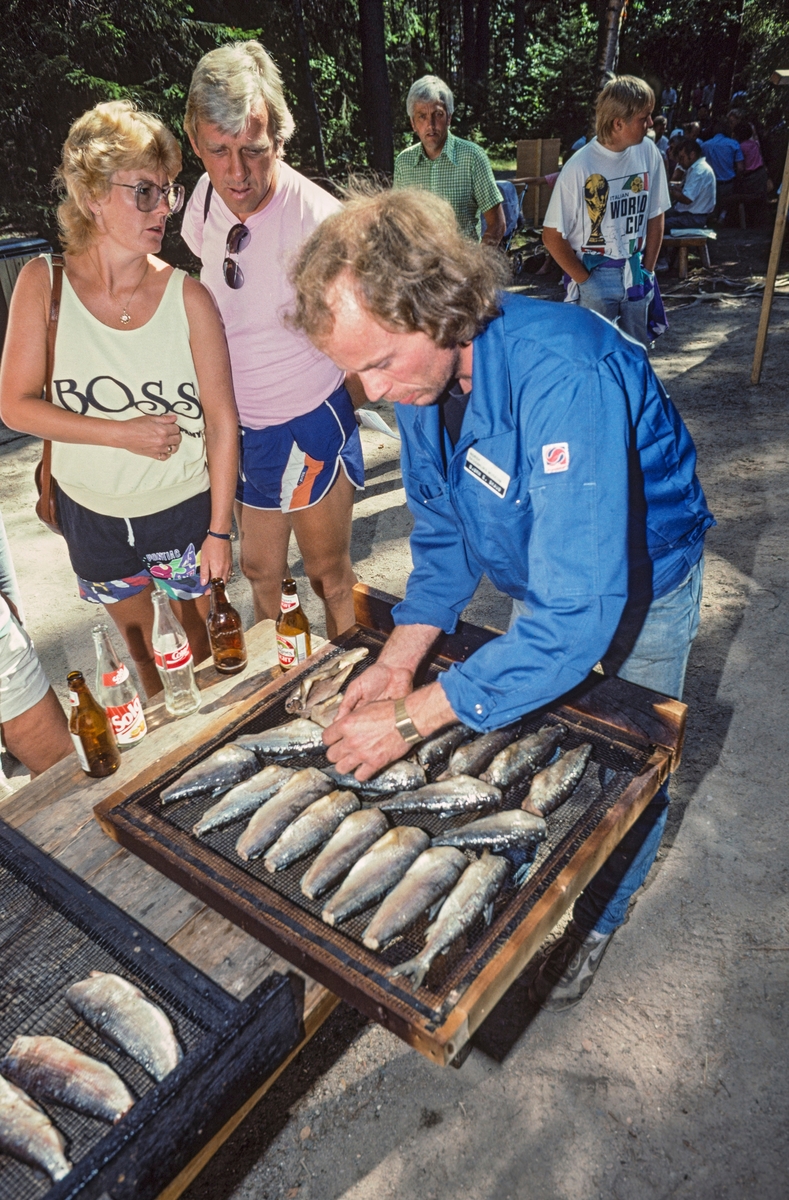 Museumsformidler Bjørn Erik Skaug legger til rette fisk for røyking i ...