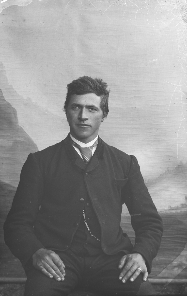 Portrett av Endre Hamre, Vang i Valdres - Maihaugen / DigitaltMuseum
