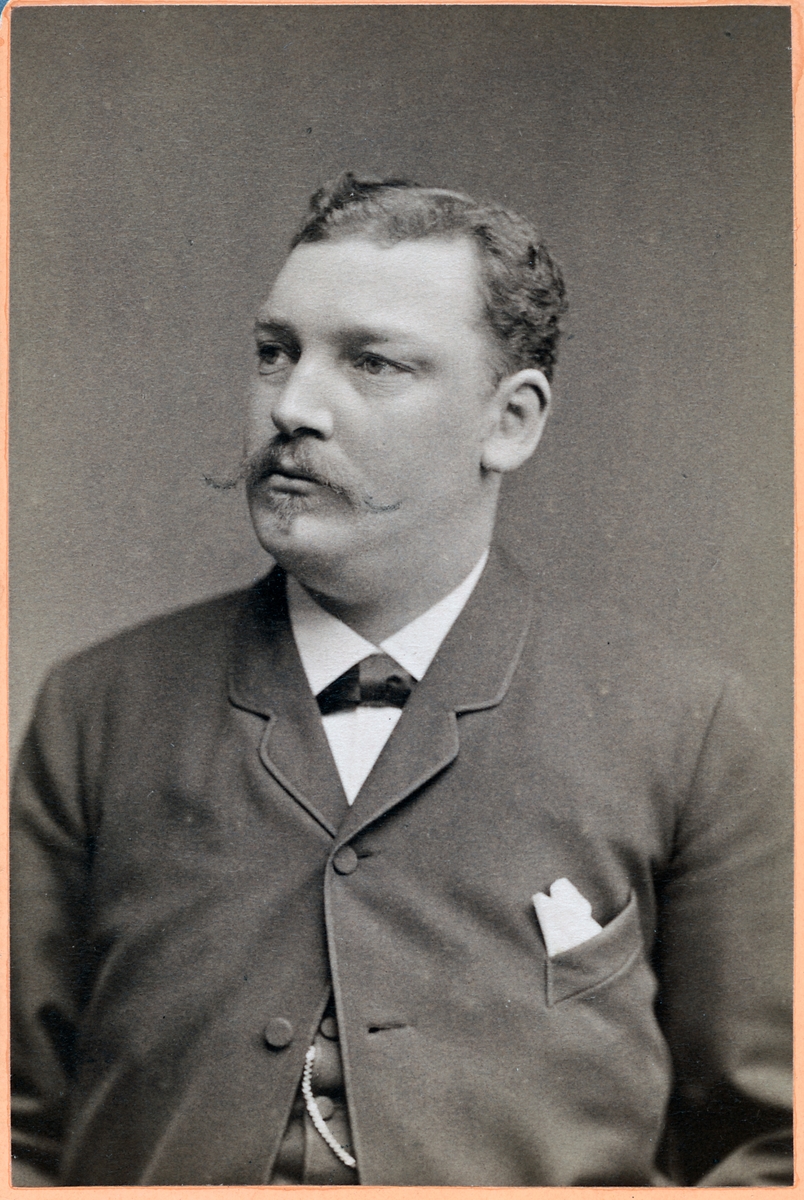 Stationsinspektor Selim Carl Helmer Trolle. - Järnvägsmuseet ...