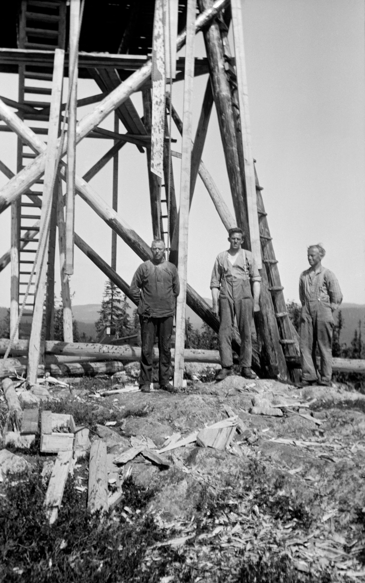 "Skjerveknatten, Gran, Hadeland" - Anno Norsk skogmuseum / DigitaltMuseum