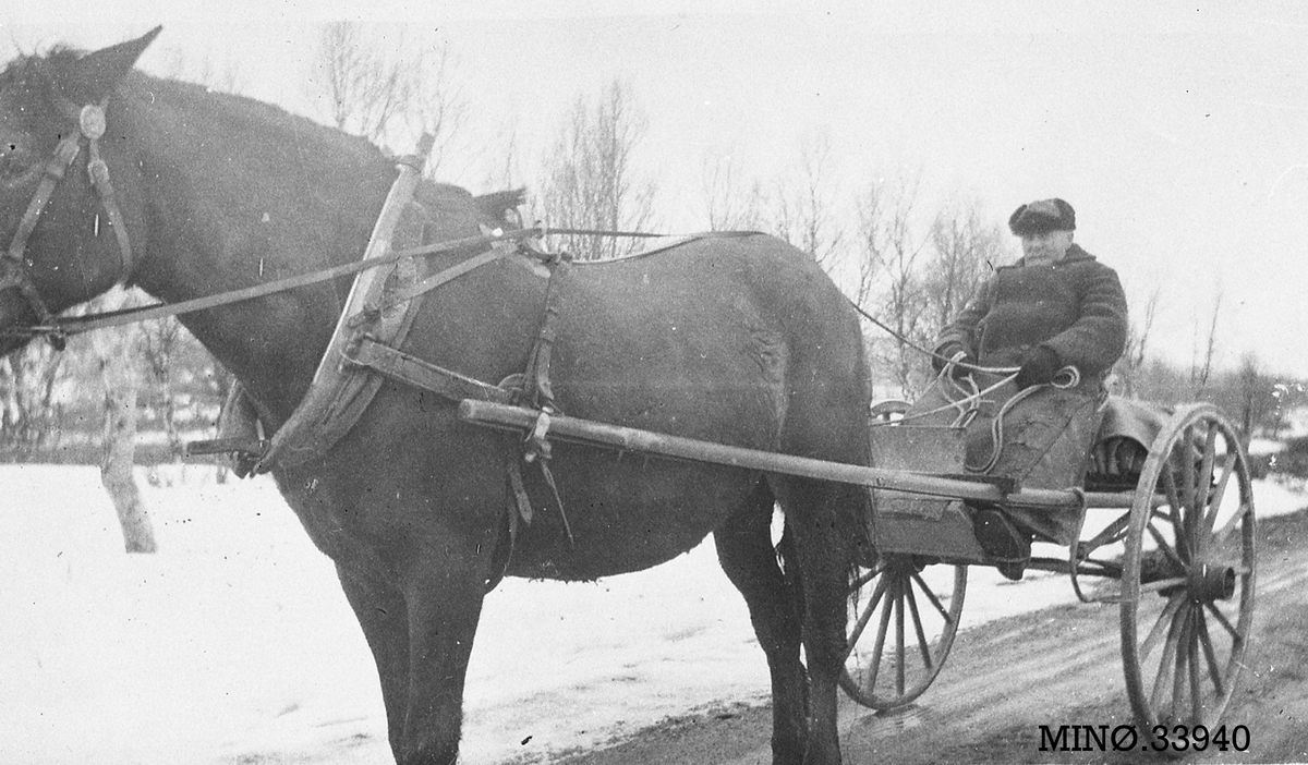 Mann med hest og vogn - Anno Musea i Nord-Østerdalen / DigitaltMuseum