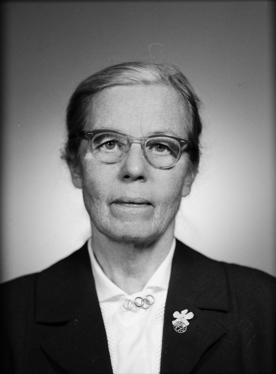 Ateljéporträtt - Anna Geijer, Uppsala 1962 - Upplandsmuseet ...