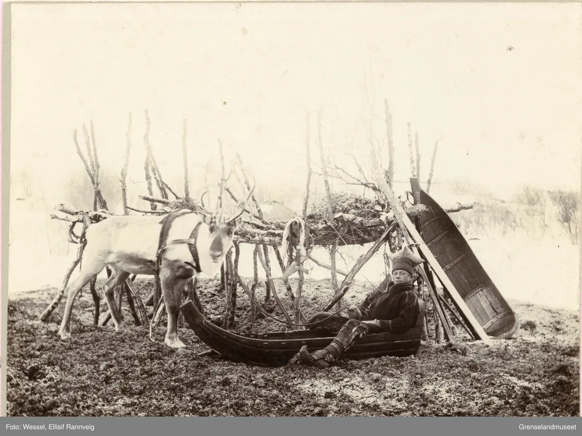 Ole Johnsen Must med sin kjørerein og pulk ved mosekraken på Solheim ...